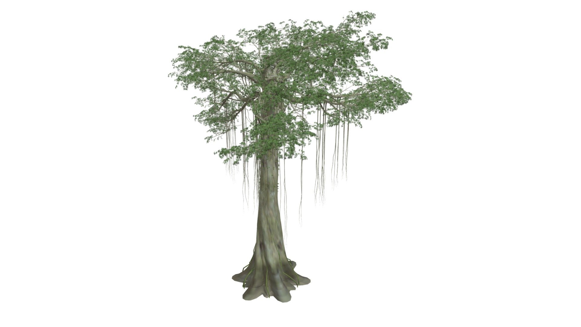 Kapok Tree #07 - Buy Royalty Free 3D model by meshshape [047b5bd ...