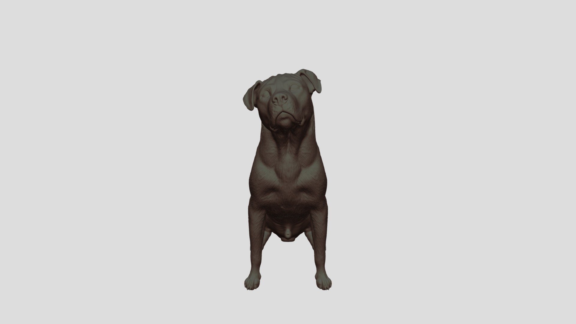 Staffi 003 v2 - 3D model by Th M Studio (@Mario.Rmz) [047d94b] - Sketchfab