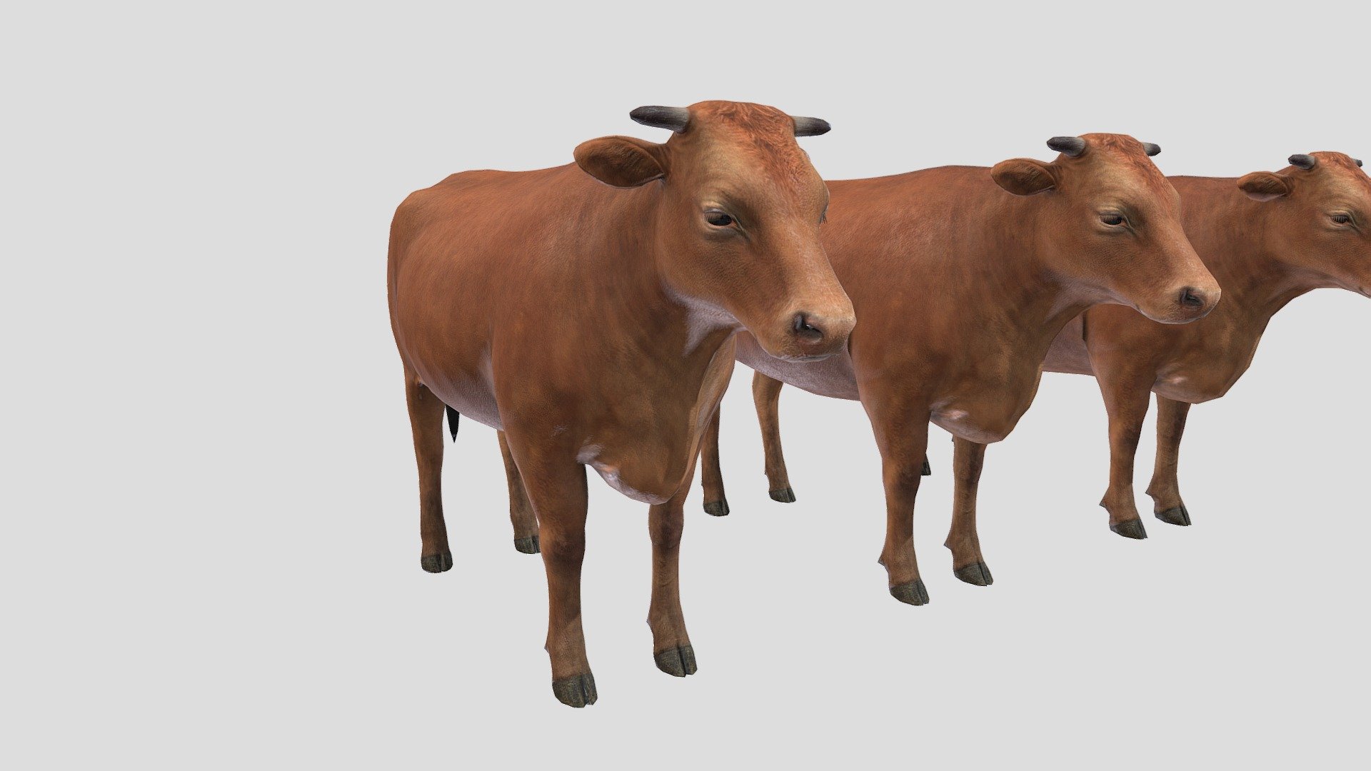 KCISA-소(Cow) - Download Free 3D model by Korea Culture Information ...