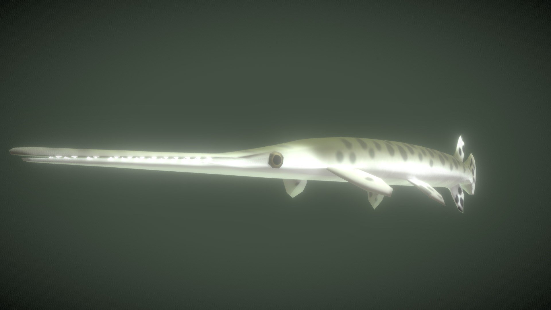 Longnose Gar - 3D model by CatfishYAY [048ad06] - Sketchfab