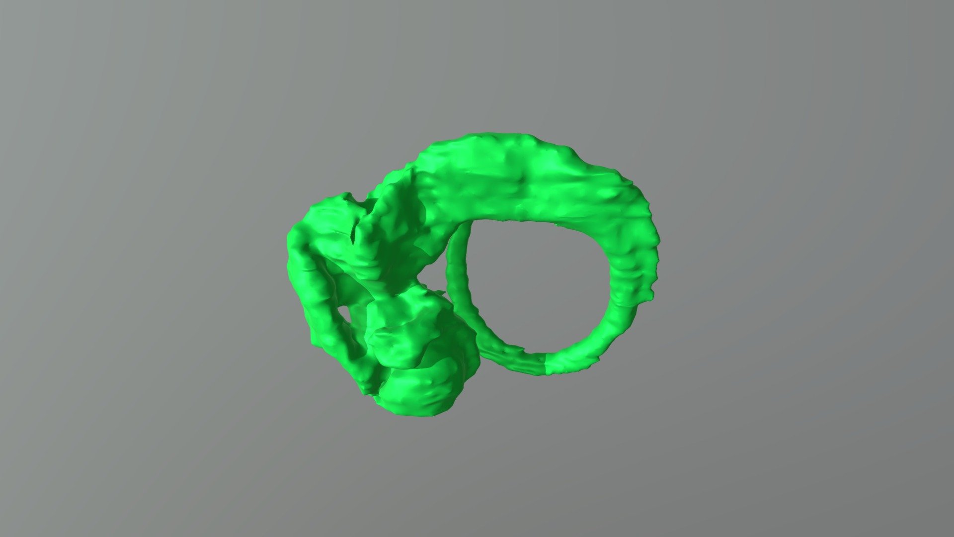 Mouse embryo CNS (E10.5) - 3D model by ernestomiquel [048eddd] - Sketchfab