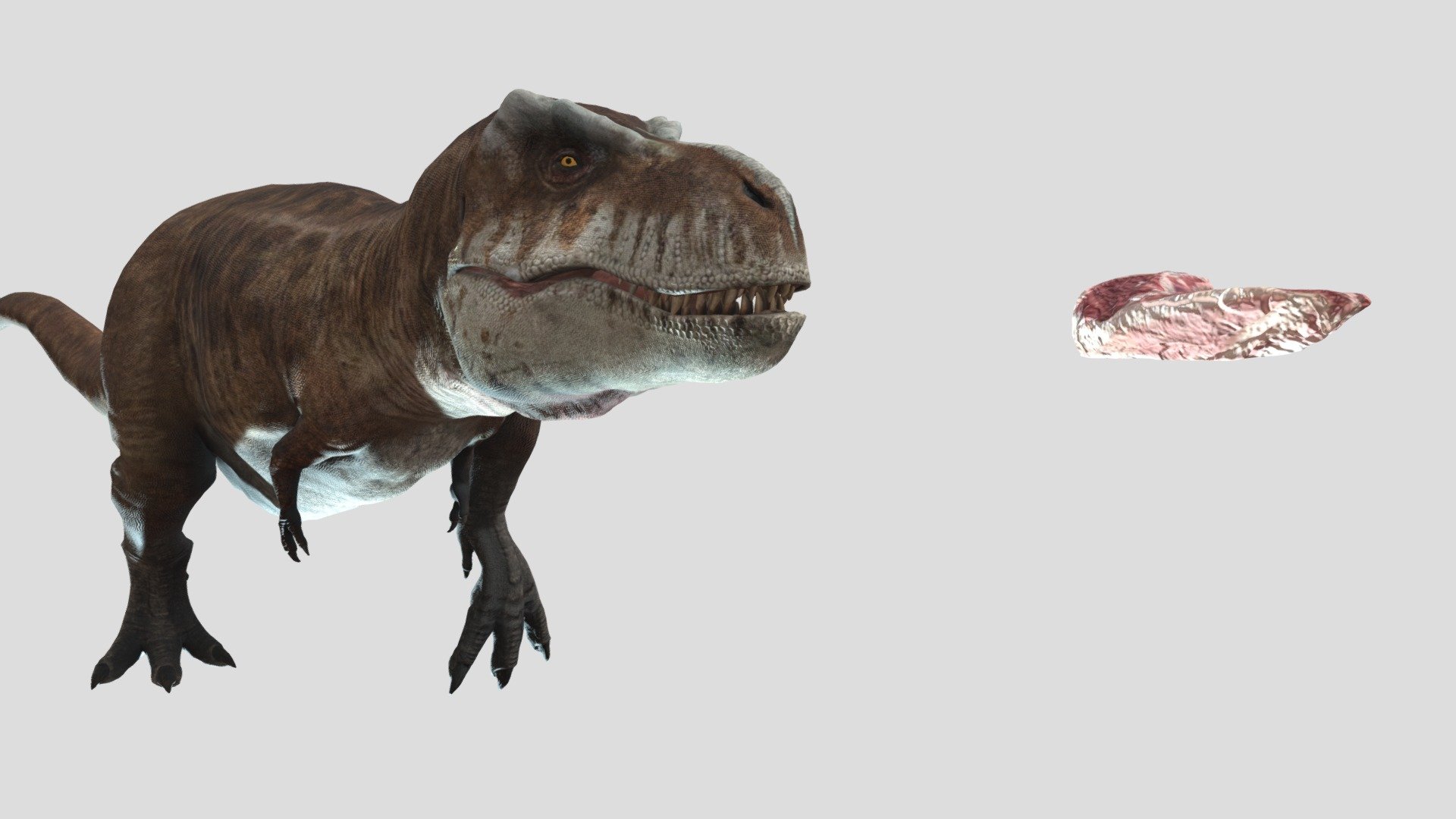 accurate Tyrannossaurus rex rig - Download Free 3D model by danielgfj ...