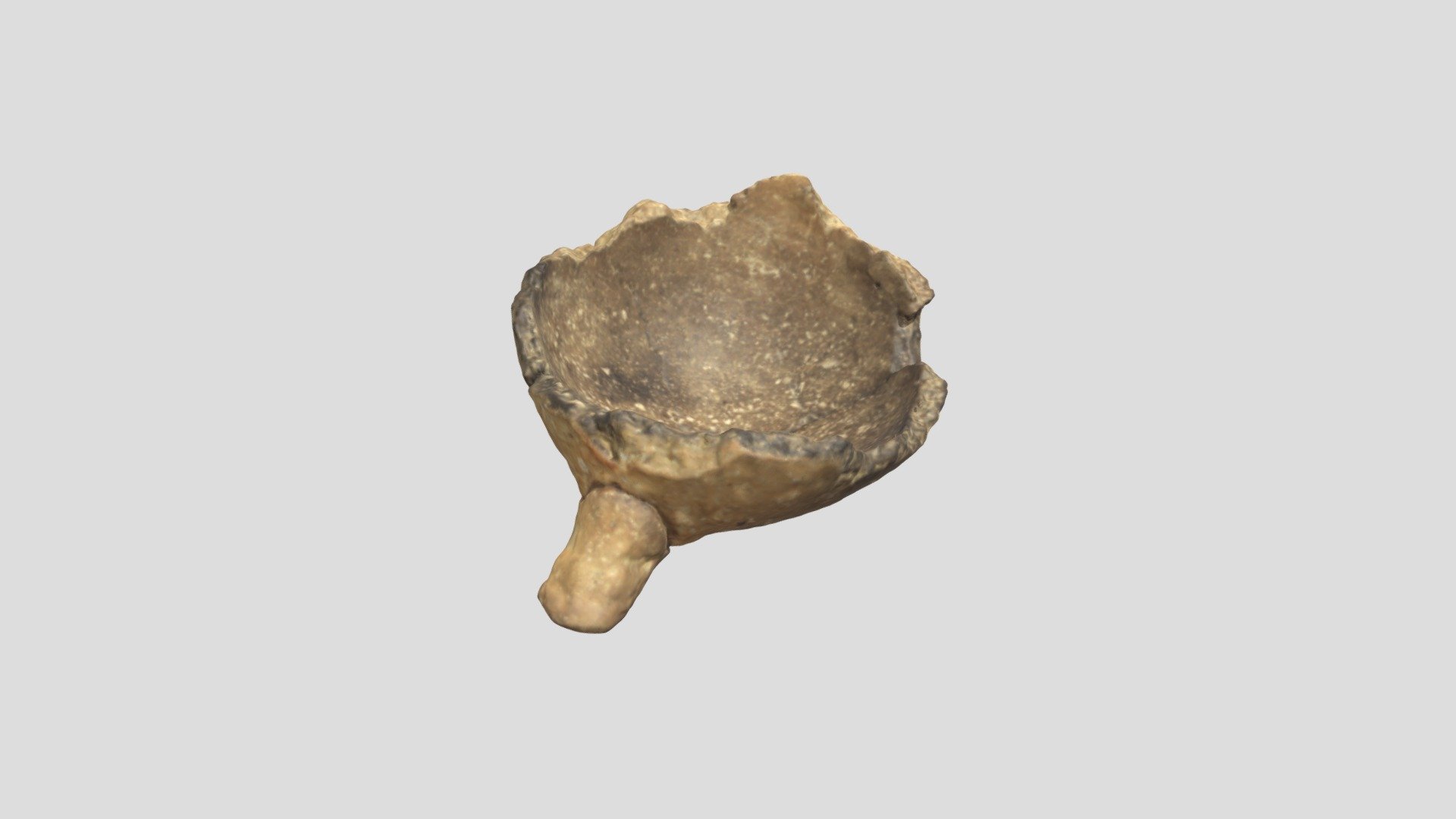 Colonoware Pipkin Base (VCU_3D_6625) - Download Free 3D model by ...