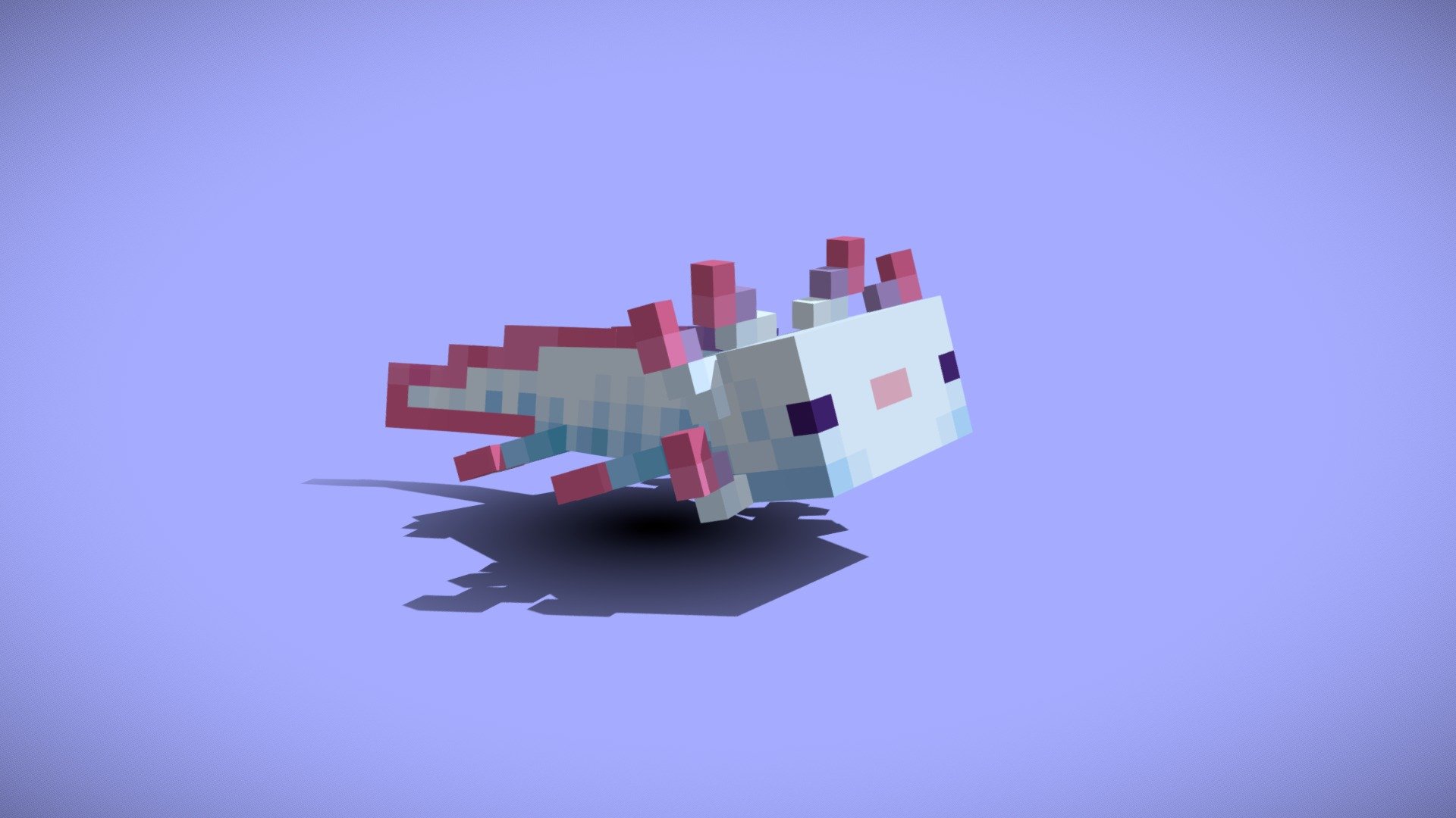 AXOLOTL - 3D model by Josh4mine [049d197] - Sketchfab