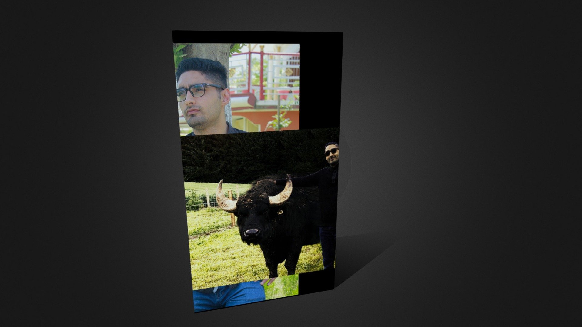 Image Annotations - Download Free 3D model by Nofil.Khan [04a2af4 ...