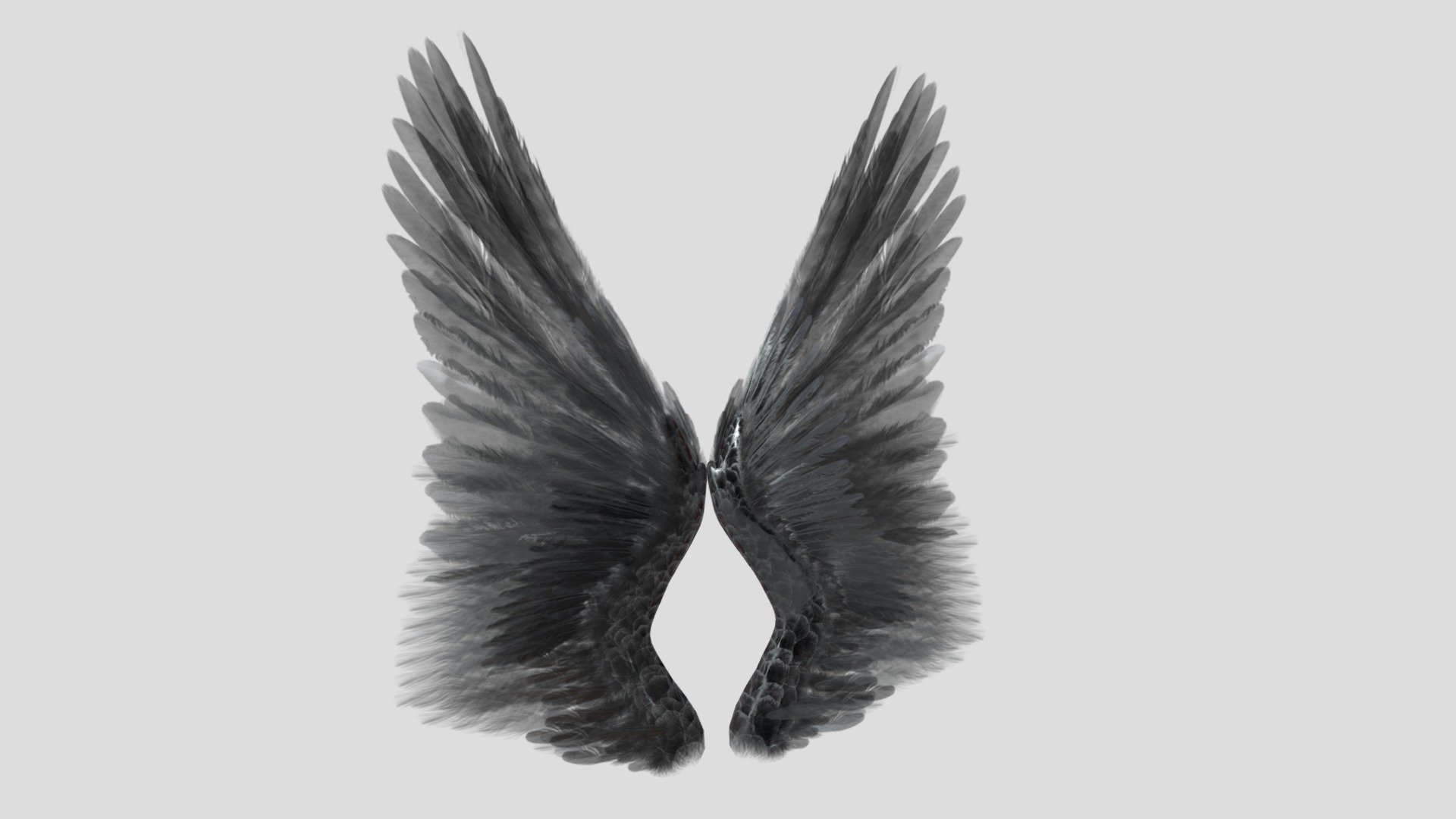 Wings - 3D model by 3Dji [04a5fa0] - Sketchfab