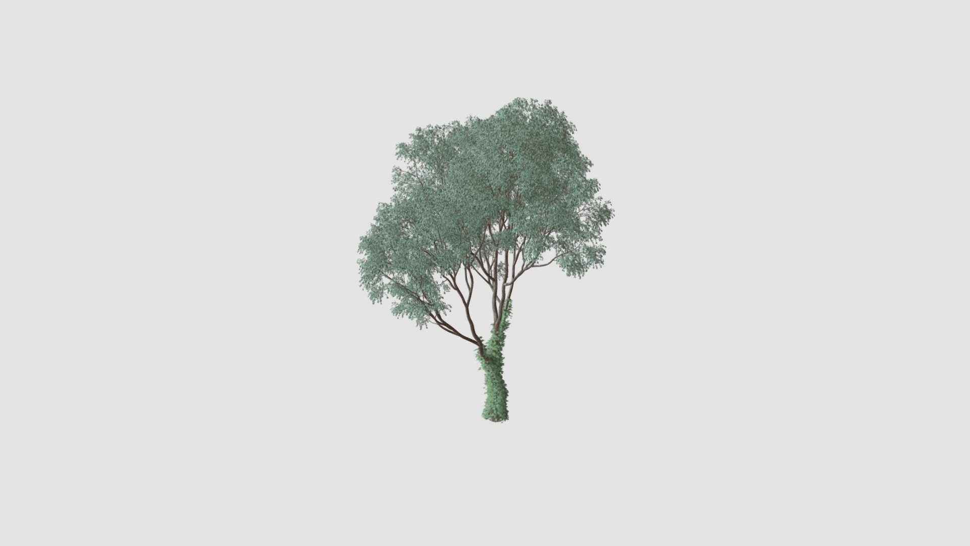 tree - Buy Royalty Free 3D model by Evermotion [04a8a6f] - Sketchfab Store