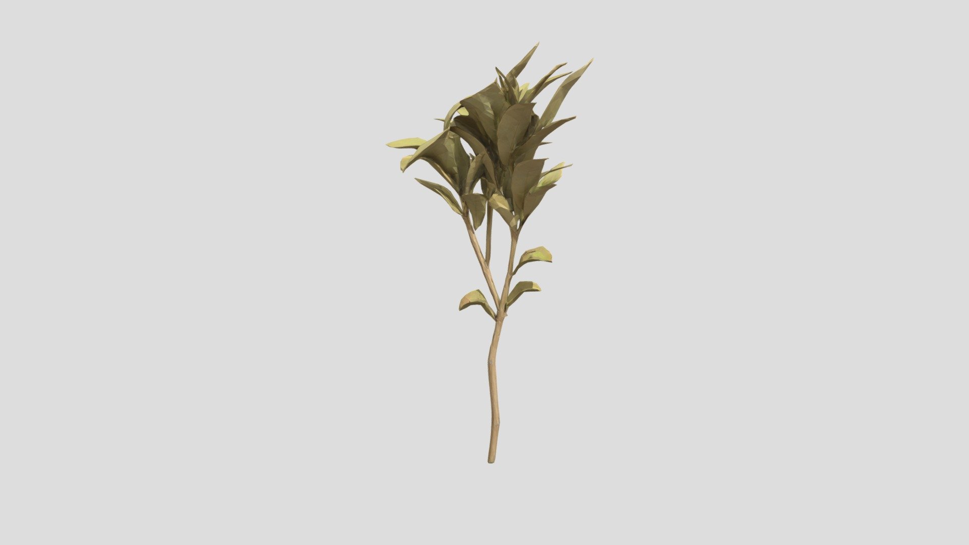 Leaf_ Sprig_0427074445_texture (1) - 3D model by allenlin0319 [04abbb8 ...