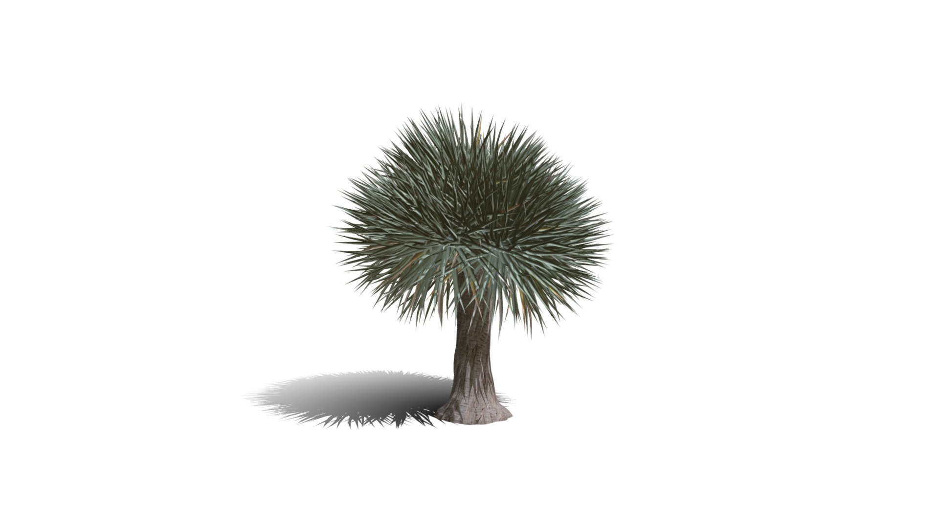 Realistic HD Dragon tree (33/50) - Download Free 3D model by ...