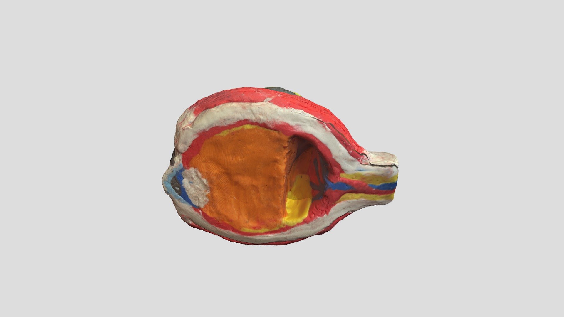 The Eye - 3D model by om348 [04acfa2] - Sketchfab