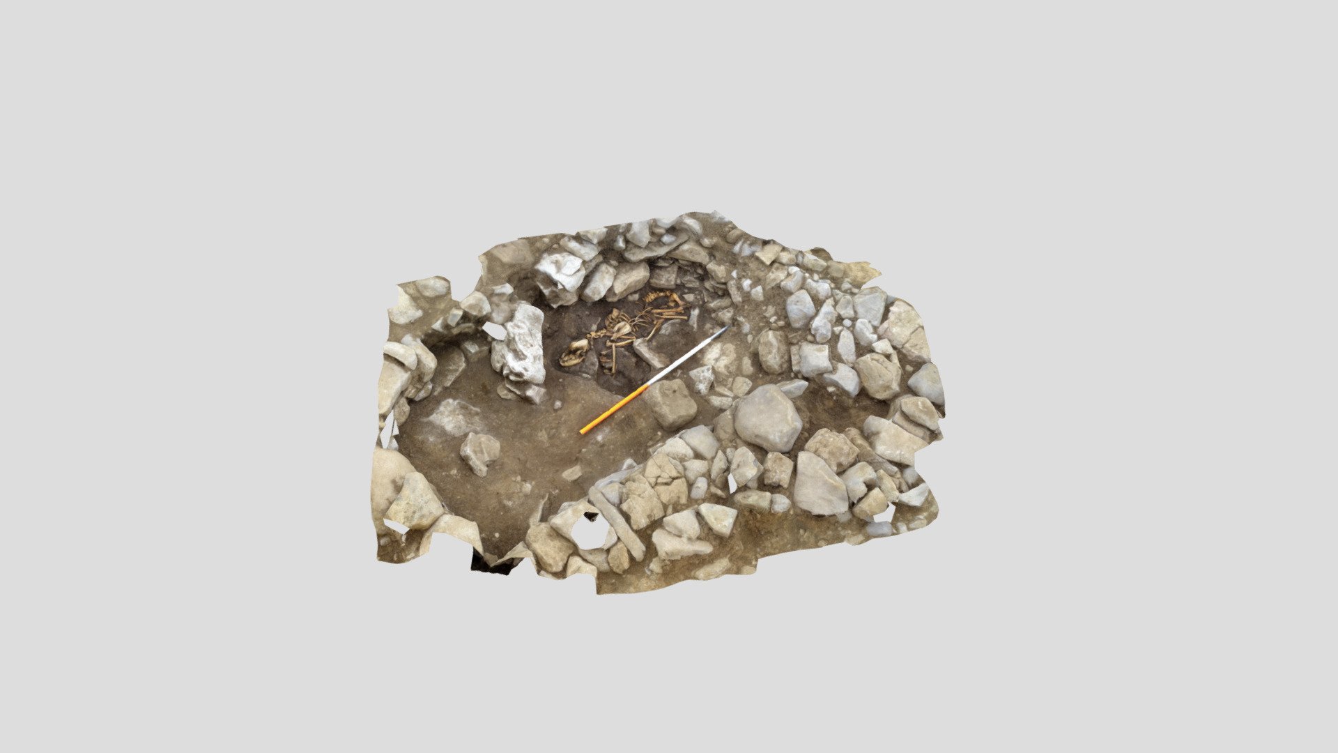 Lurgan 3 dog (Low Res) - 3D model by edpalka [04ade23] - Sketchfab