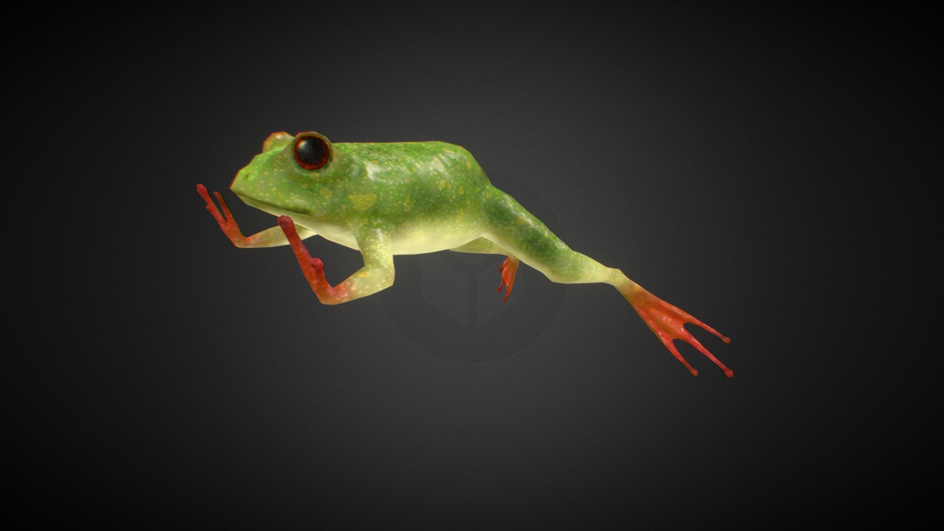Frog - 3D model by IceMan-Studio [04b3801] - Sketchfab