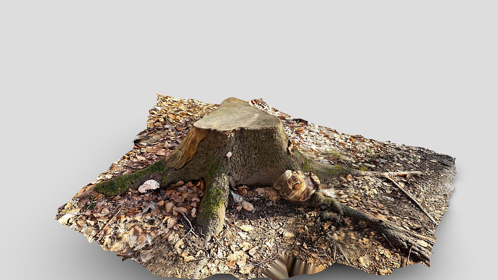 Tree stump - Download Free 3D model by Hullken [04bb24f] - Sketchfab