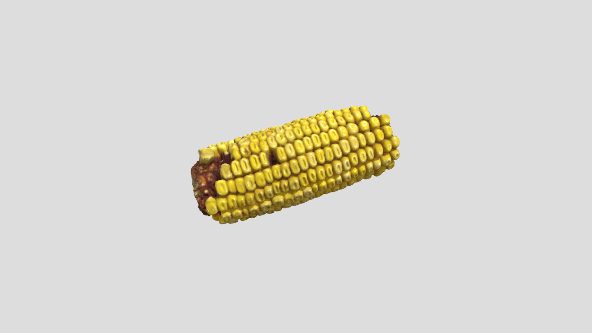 Corn - 3D model by Aberdeen City Libraries (@AberdeenCityLibraries) [04bead1] - Sketchfab