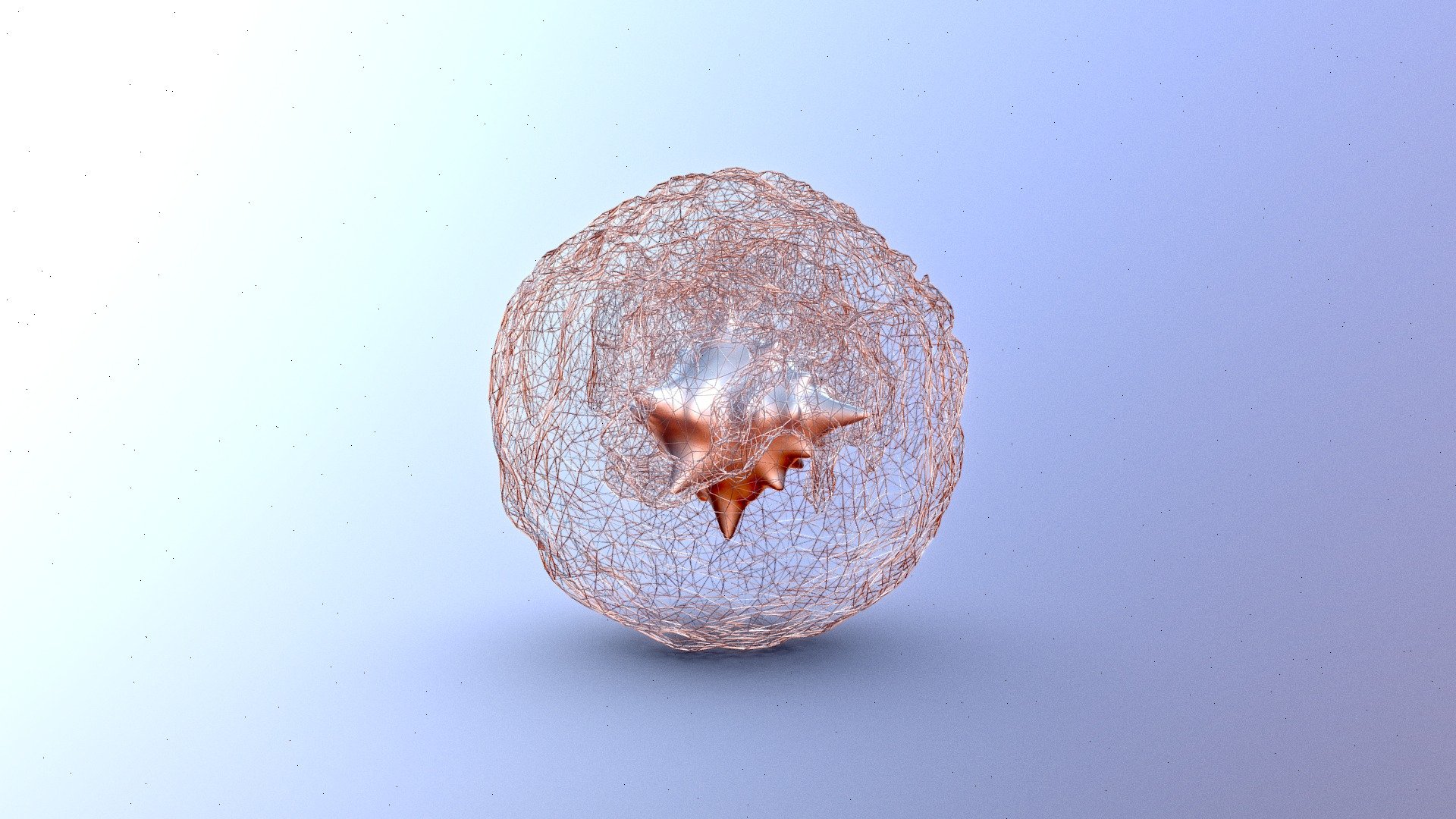 Foraminifera - Interwoven Microcosmos - Download Free 3D model by andrea_nagl [04c16bb] - Sketchfab