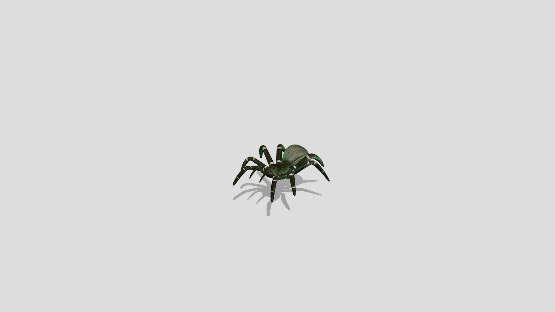 spider - 3D model by tu madre (@c.rossi) [04c46b0] - Sketchfab