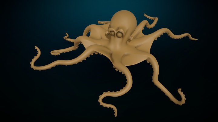 Octopus 3D models - Sketchfab
