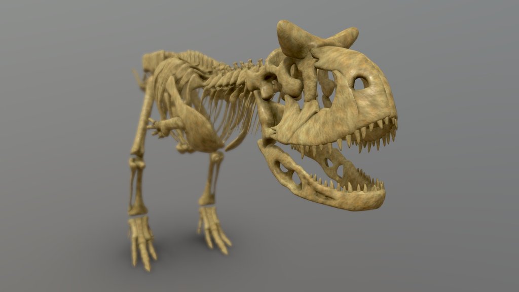 Dinosaur Fossils - A 3D model collection by Thomas Flynn ...