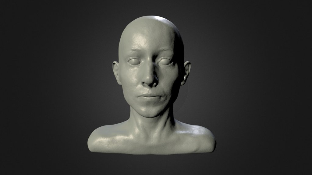 Female Head Study - 3D model by Shady (@shady.91) [04db697] - Sketchfab