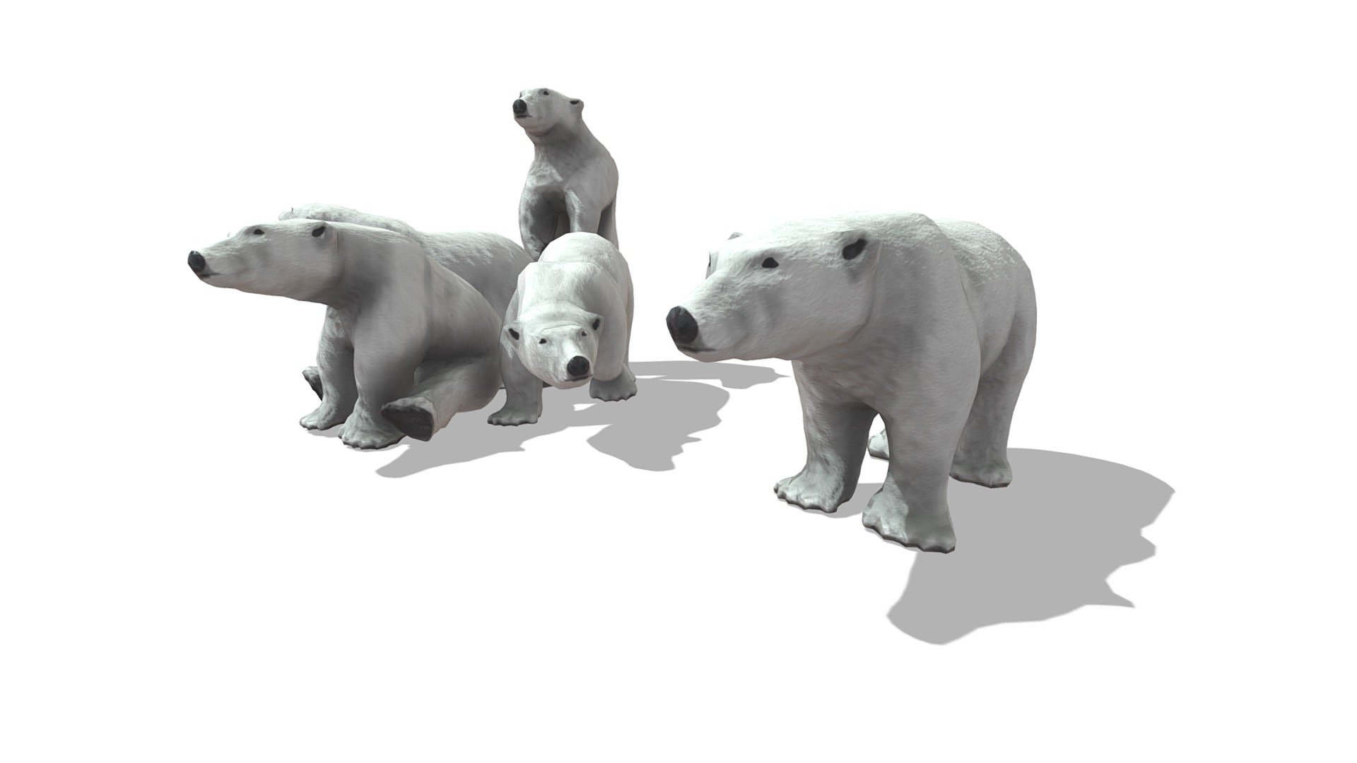 Polar Bear - Download Free 3D model by Bjarne Stokhof (@stokhuis ...
