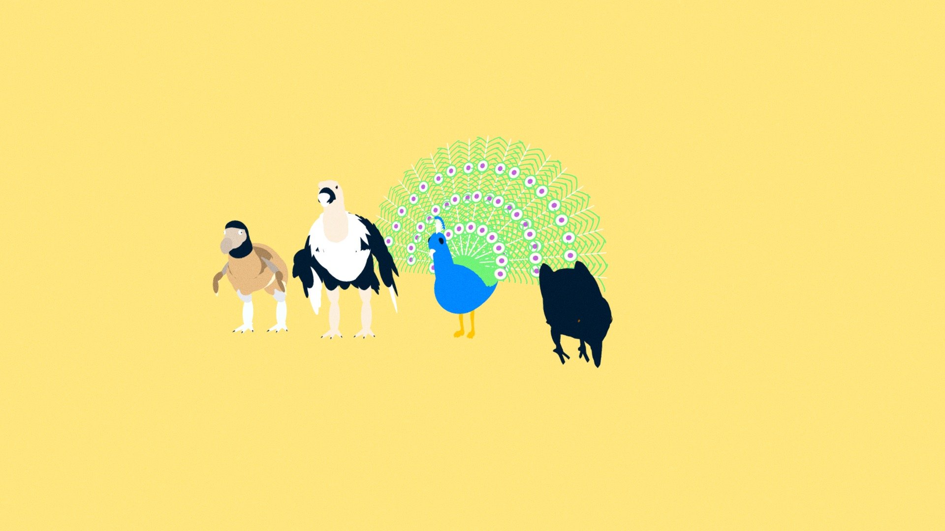 TinkerCad Bird Pack 1! 🦤 🦚 🦅🐦‍⬛ - Download Free 3D model by ᗰOᑎKEY ᗪ ...