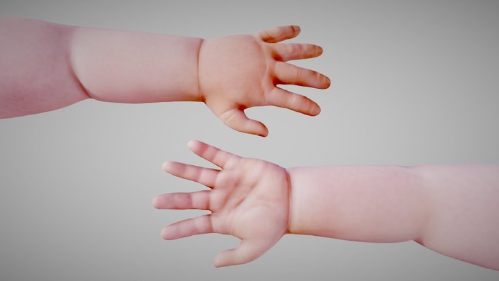 Palm 3D models - Sketchfab