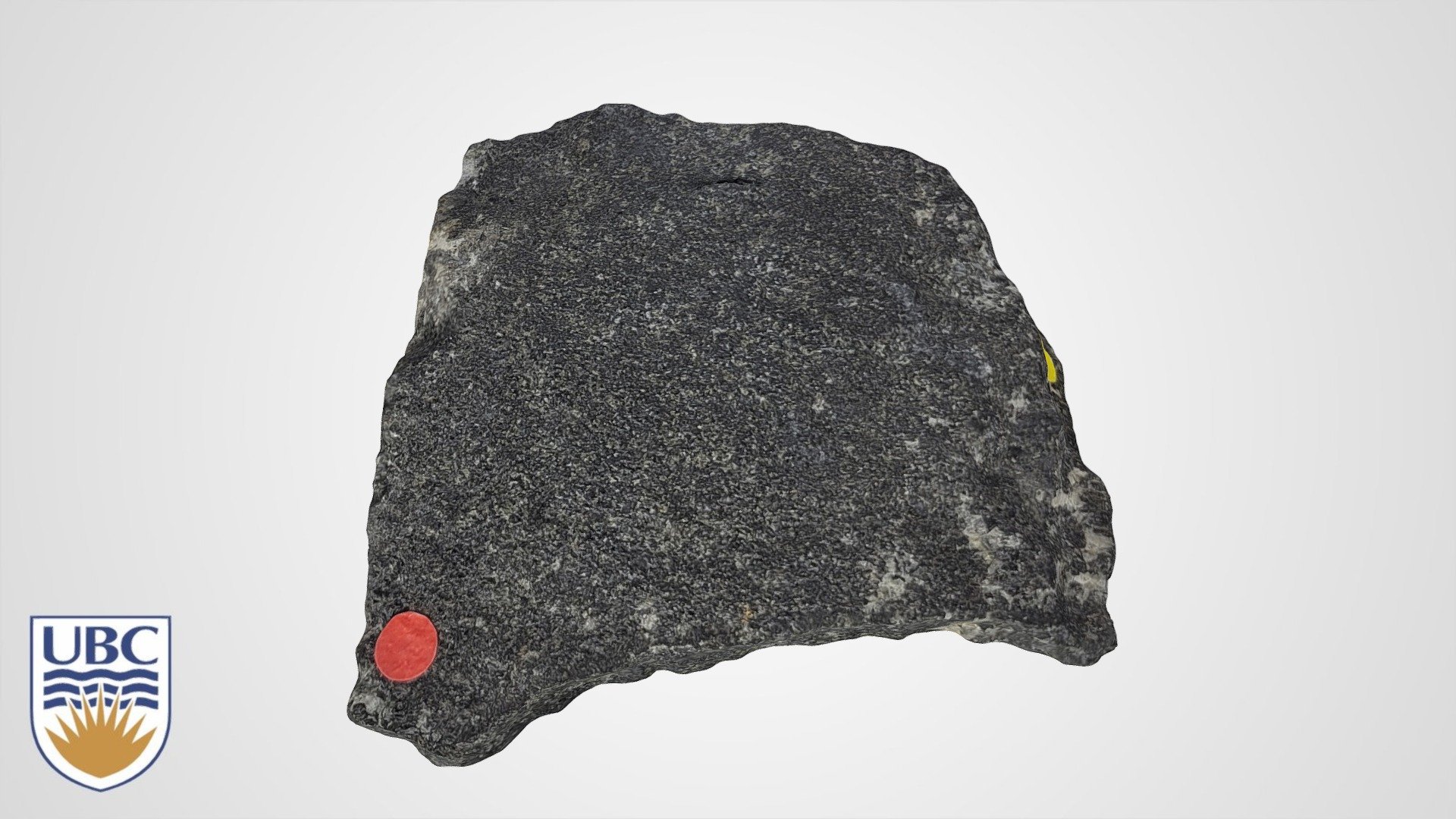 Skaergaard intrusion LZa* (SEB87-243) - 3D model by Nichole Moerhuis ...