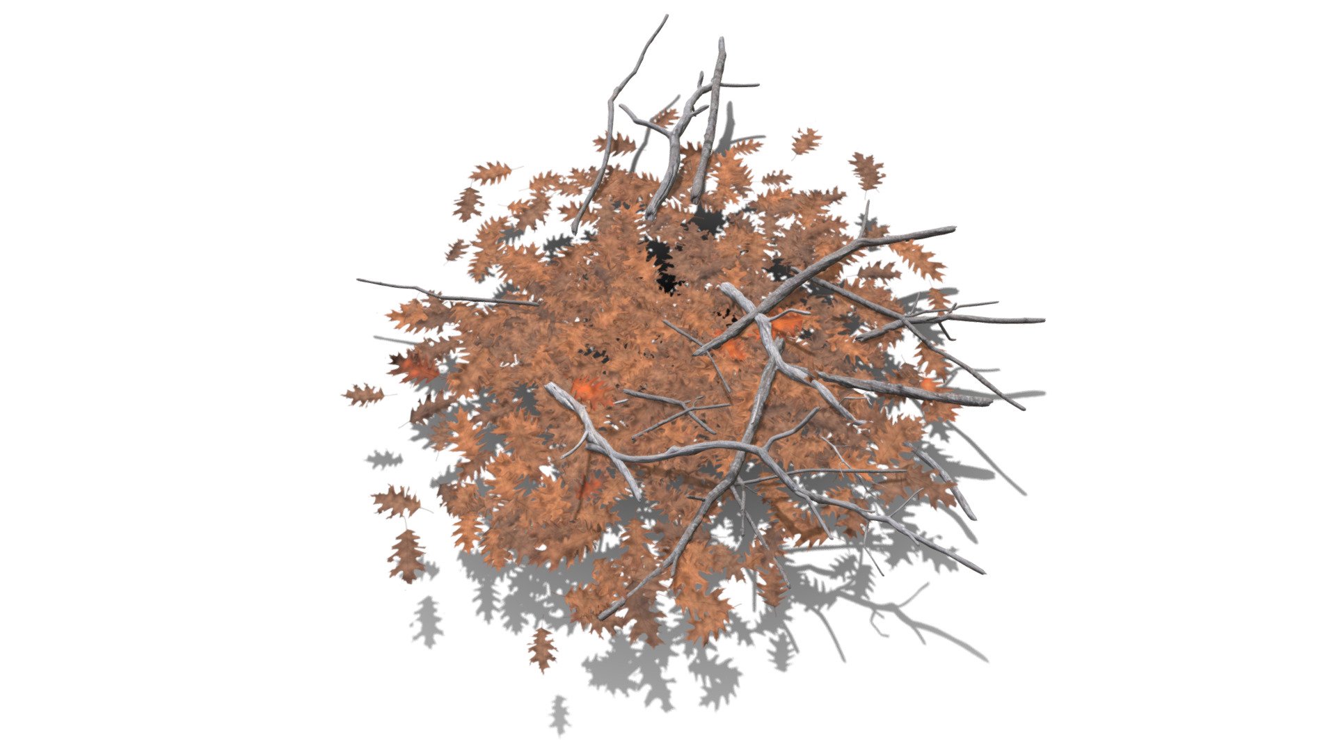 Realistic HD Red oak leaf litter (12/36) - Download Free 3D model by ...