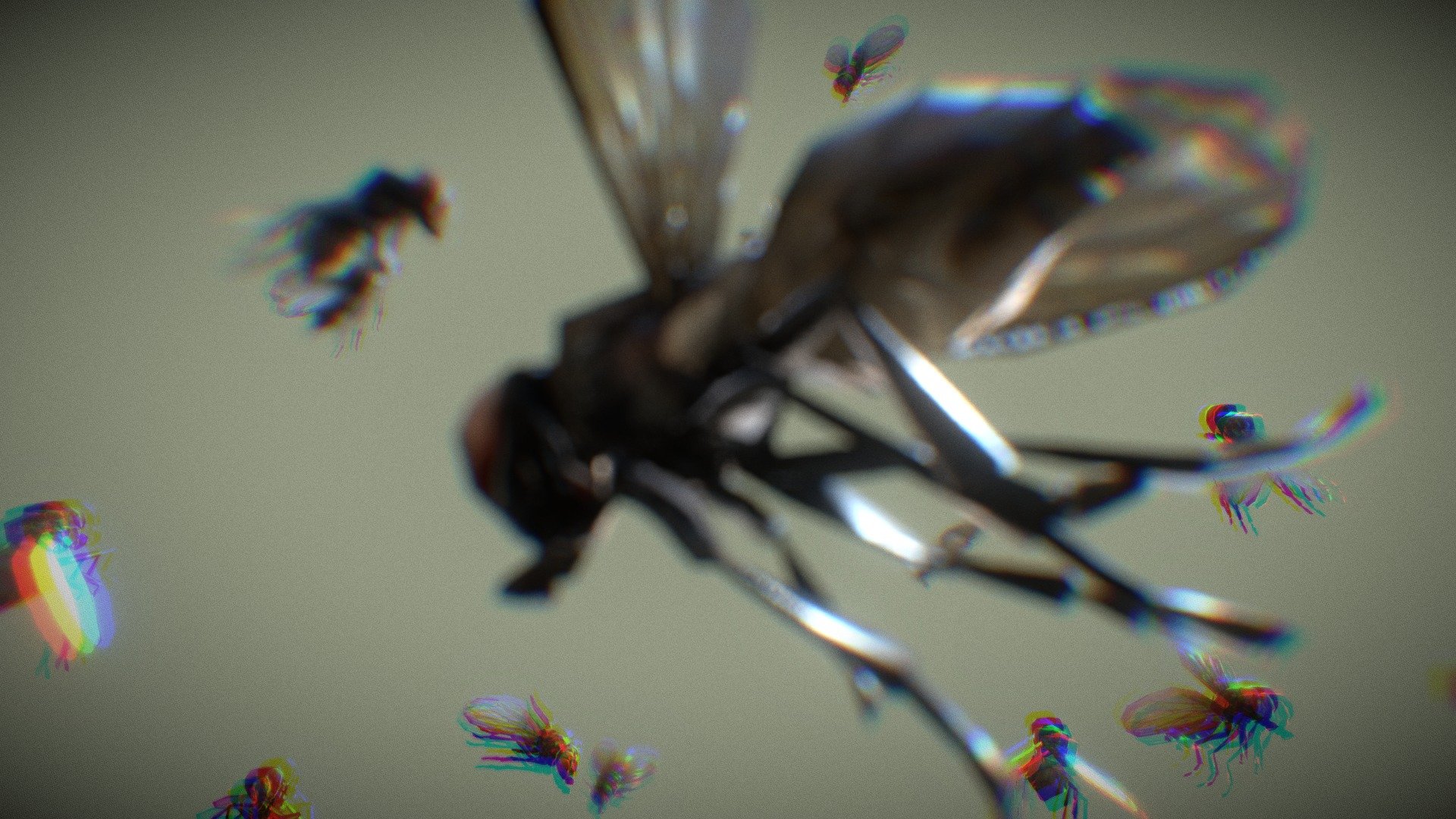 Flies - 3D model by Crack Sparrow Capt. (@VR.GOD) [050594c] - Sketchfab