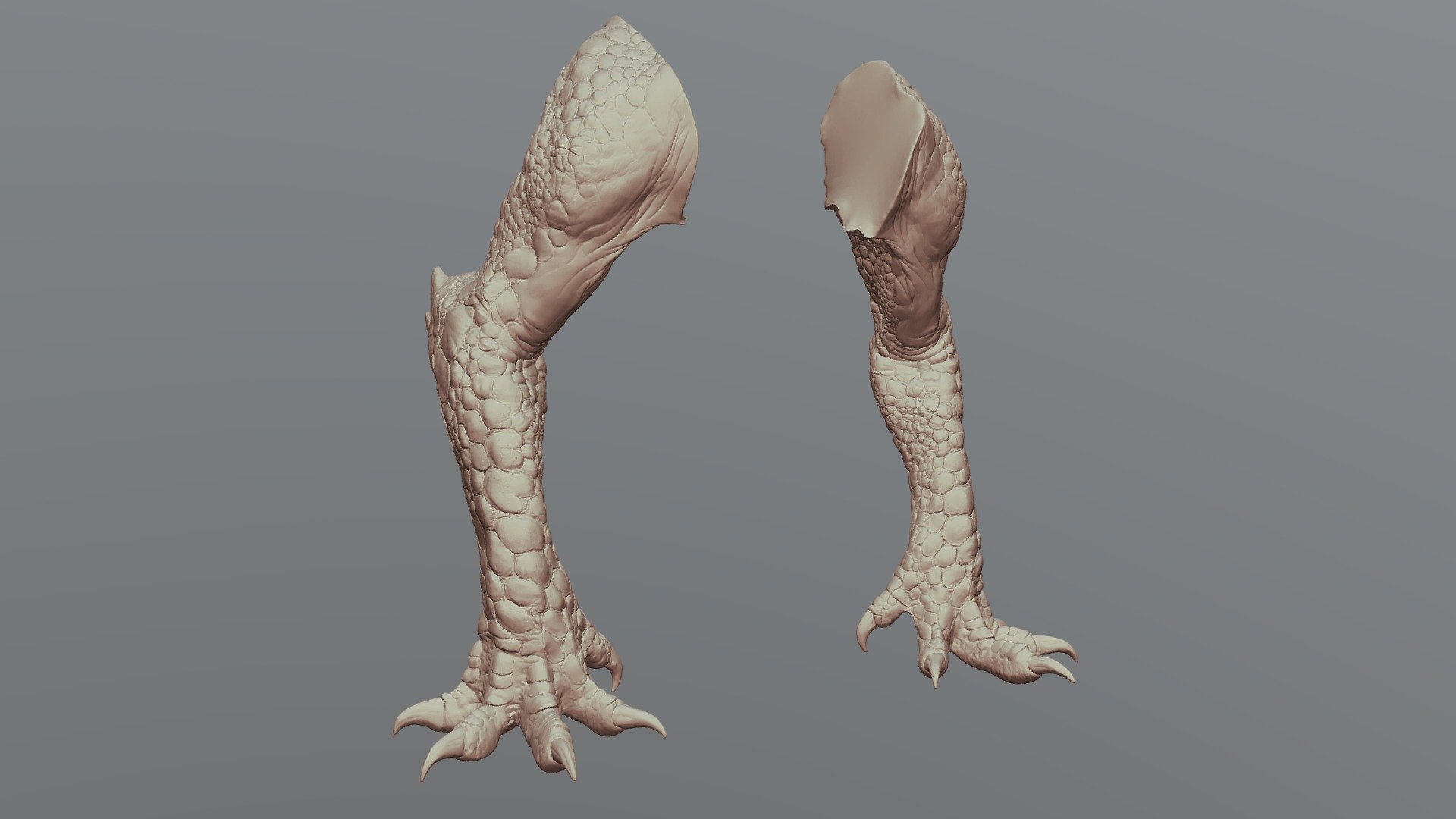Creature Legs 1 - Buy Royalty Free 3D model by Rumpelstiltskin ...