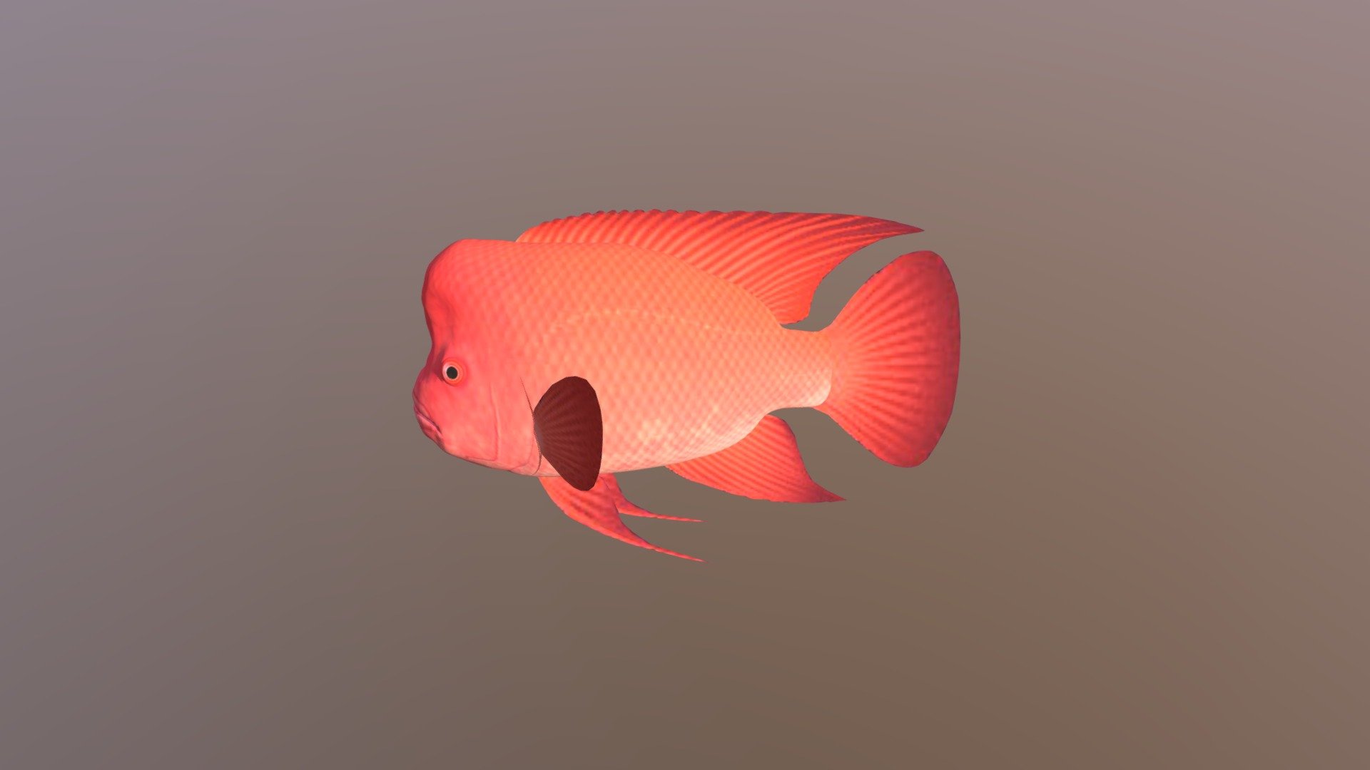 Fish5 - 3D model by hipuzzler [051ae6e] - Sketchfab