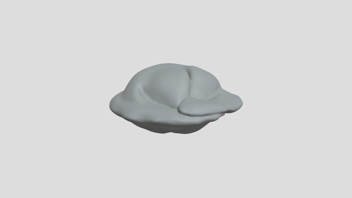 Dumpling 3D models - Sketchfab
