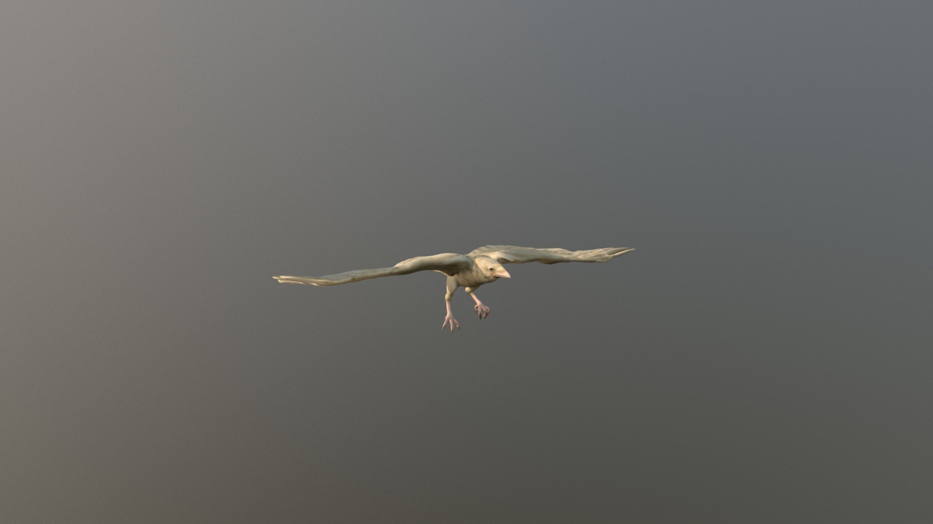White Raven 3D Flying Animation - 3D model by Gwennurd [0521fe2 ...