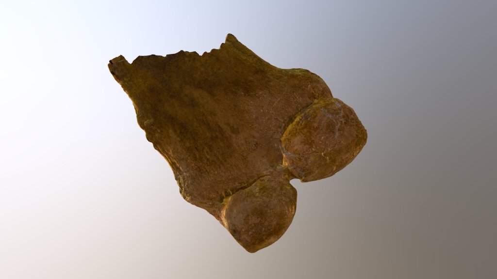 Mastodon Femoral Fragment (VCU_3D_2176) - 3D model by Virtual Curation ...