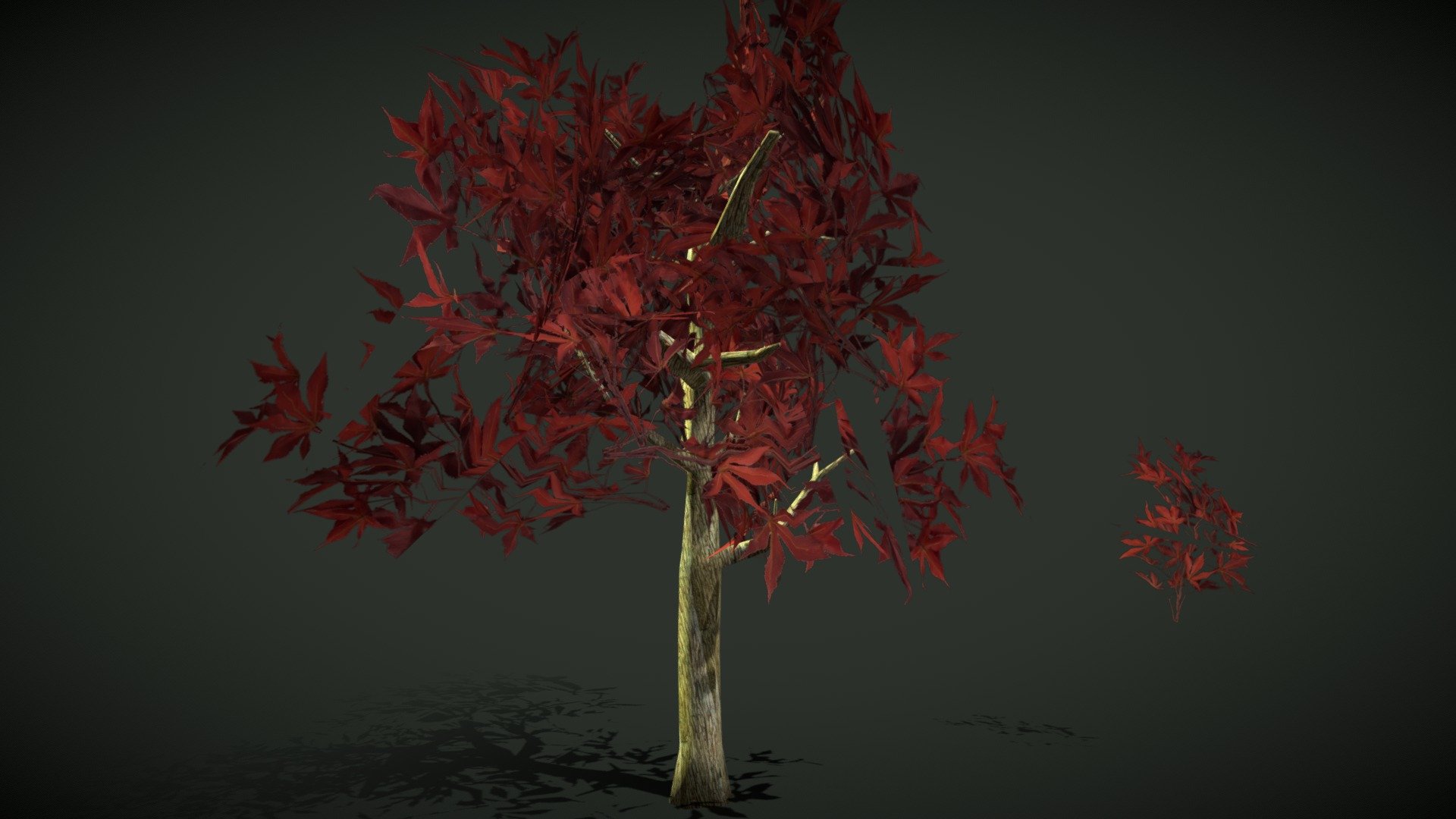 low polly japanese maple tree - Download Free 3D model by Jazz Vincent ...