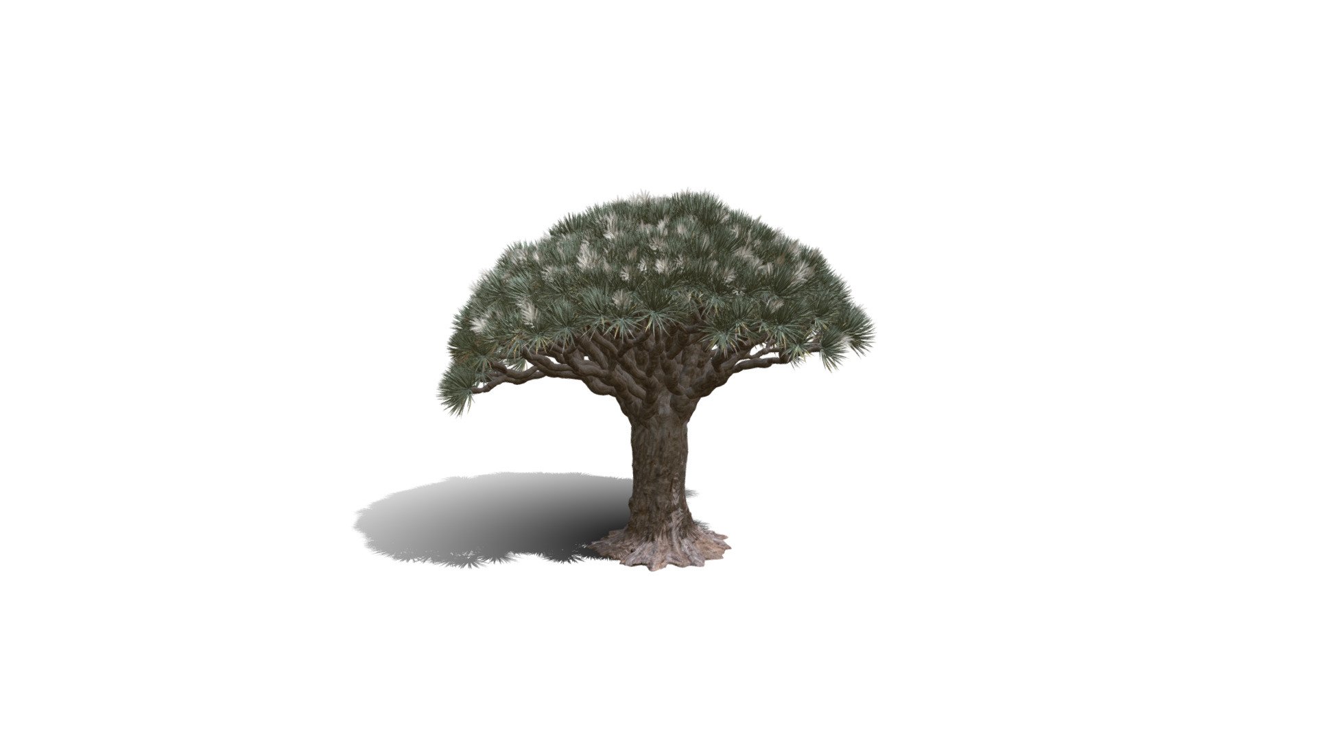 Realistic HD Dragon tree (20/50) - Download Free 3D model by ...