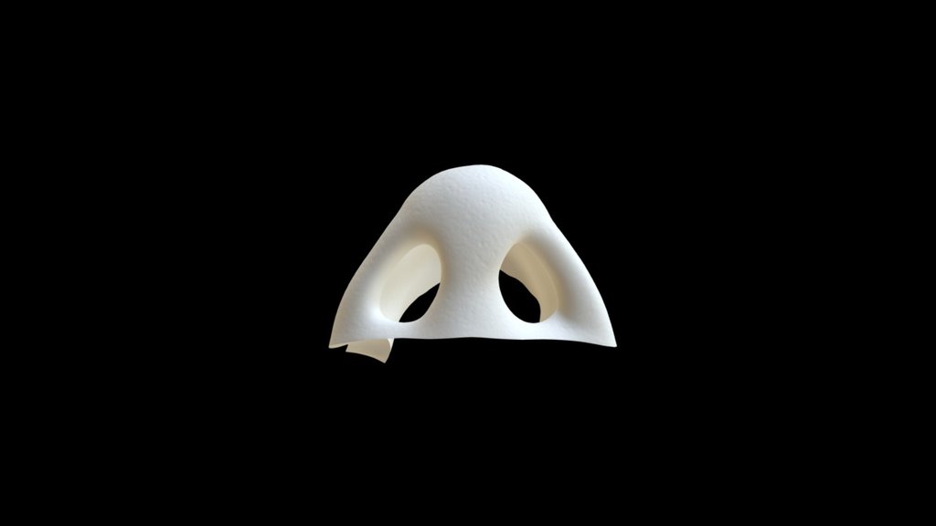 Nez - 3D model by Bertrand Busson (@bertrandbusson) [052ec34] - Sketchfab