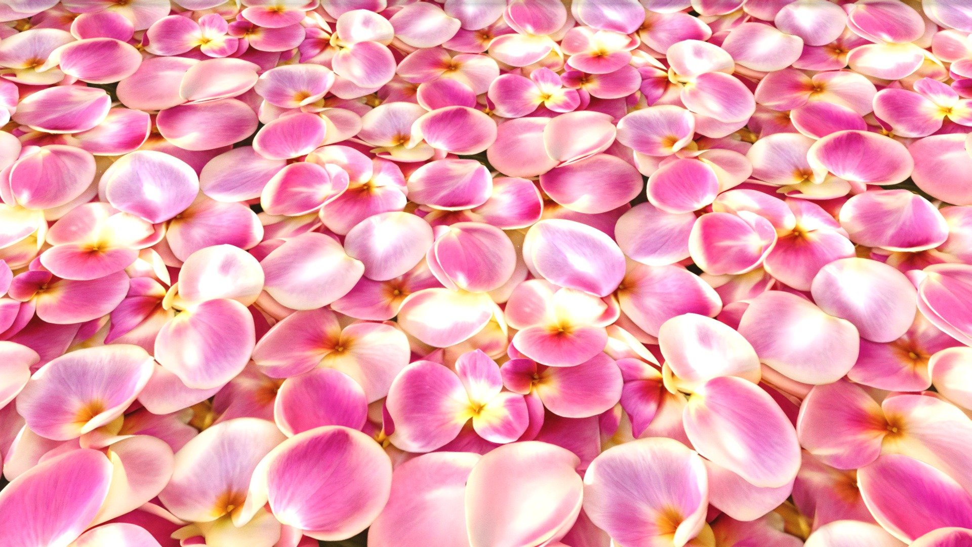 Ground full of pink petals texture - Download Free 3D model by Tijerín ...