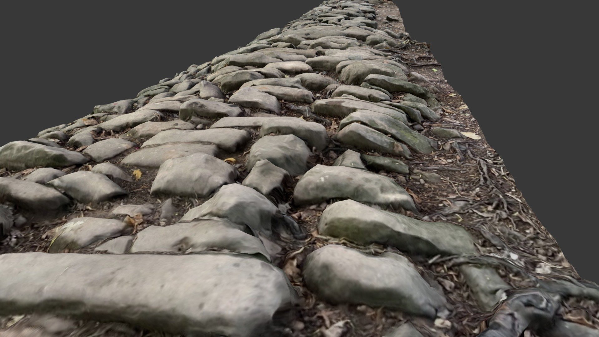 Photogrammetry Polycam old stone path UK - Buy Royalty Free 3D model by ...