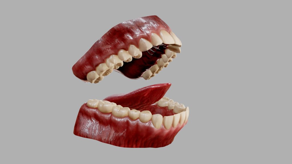 dental - A 3D model collection by julia1989 - Sketchfab