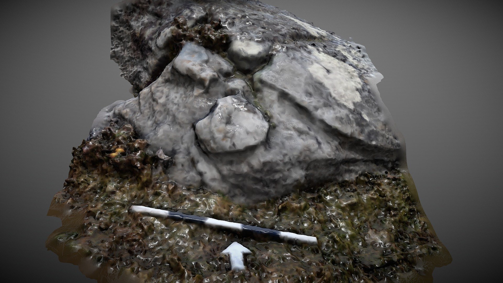 Dun Creagach - Possible Quern Roughout - Download Free 3D model by Nick ...