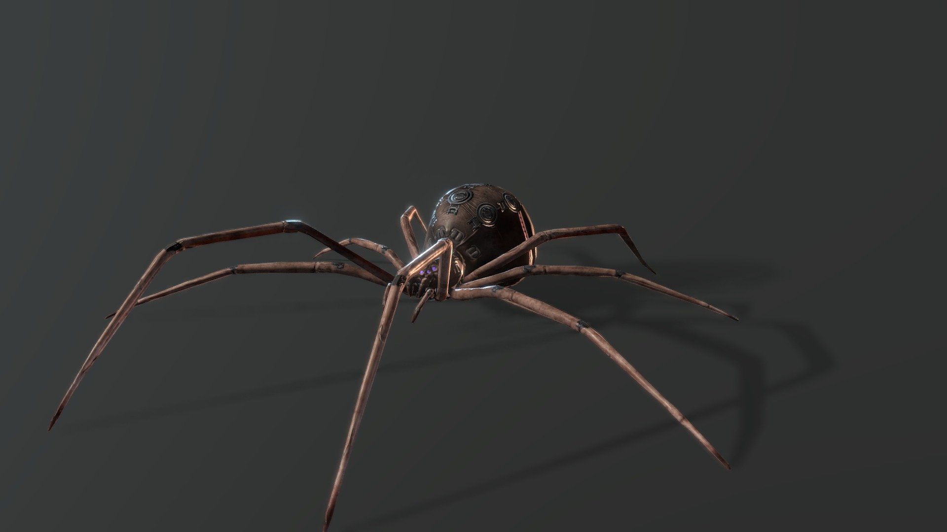 Wild Life - Spiders - 3D model by polygonmaker [054a51c] - Sketchfab