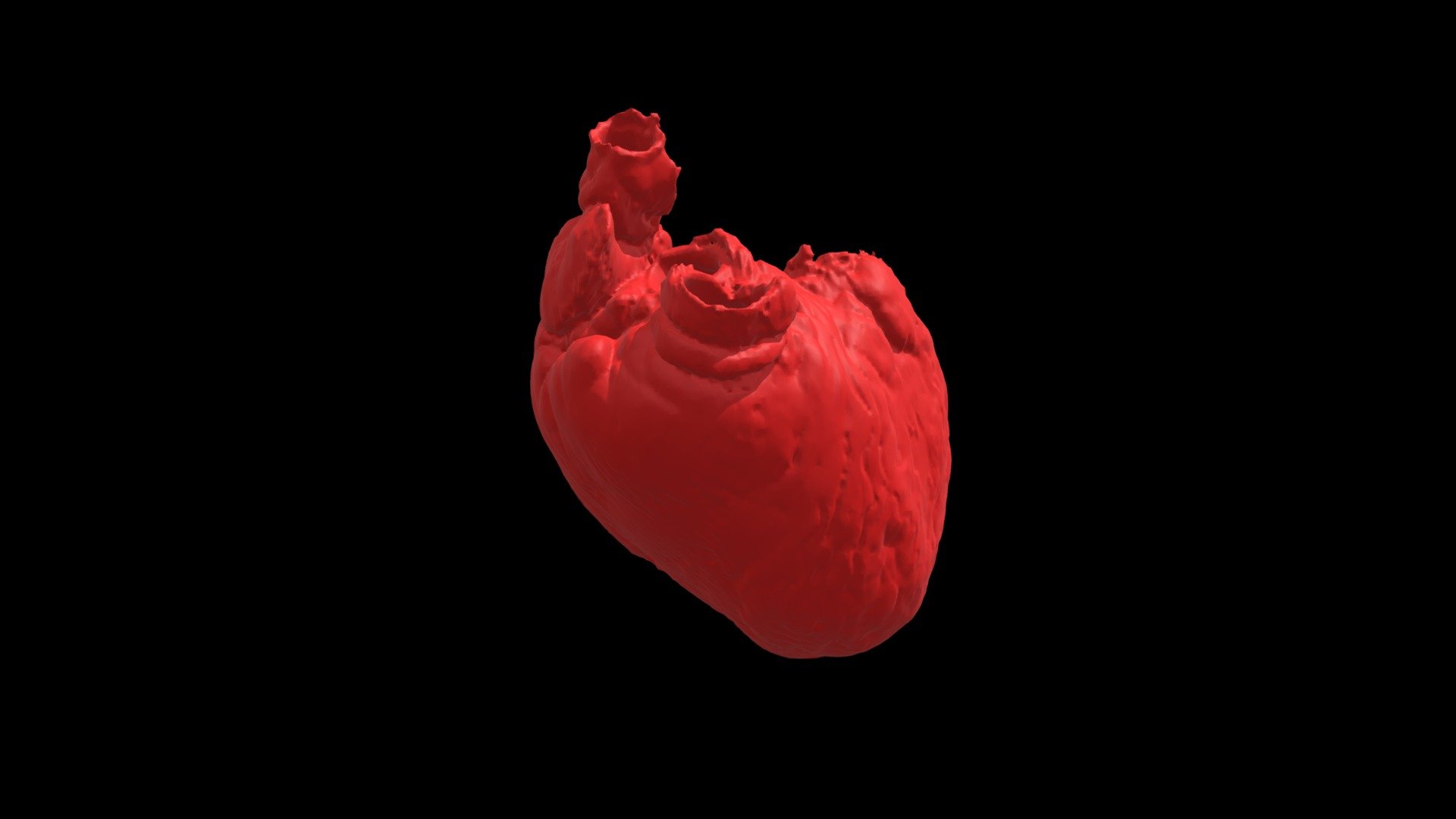 Healthy Adult Tissue Model- Heart0247 - Download Free 3D model by ...