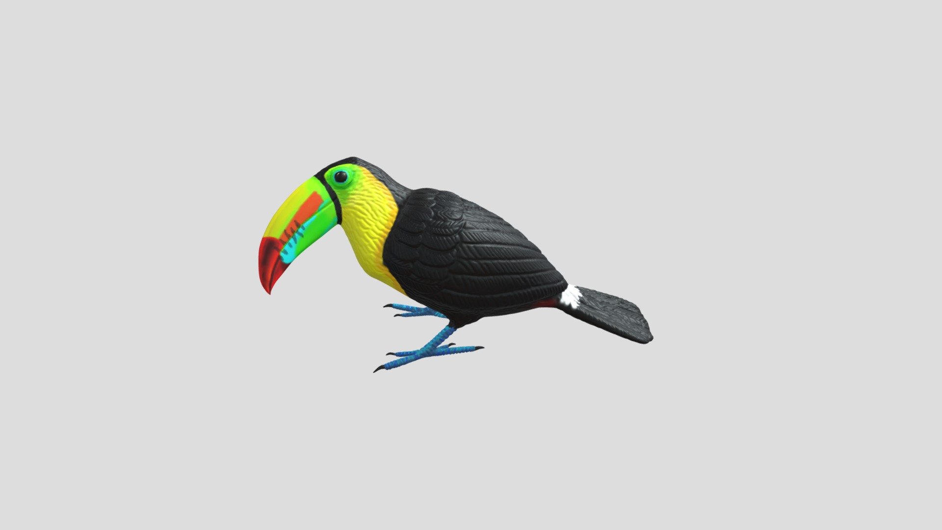 TOUCAN PAINTED - 3D model by LauraGarnham [055fcaf] - Sketchfab
