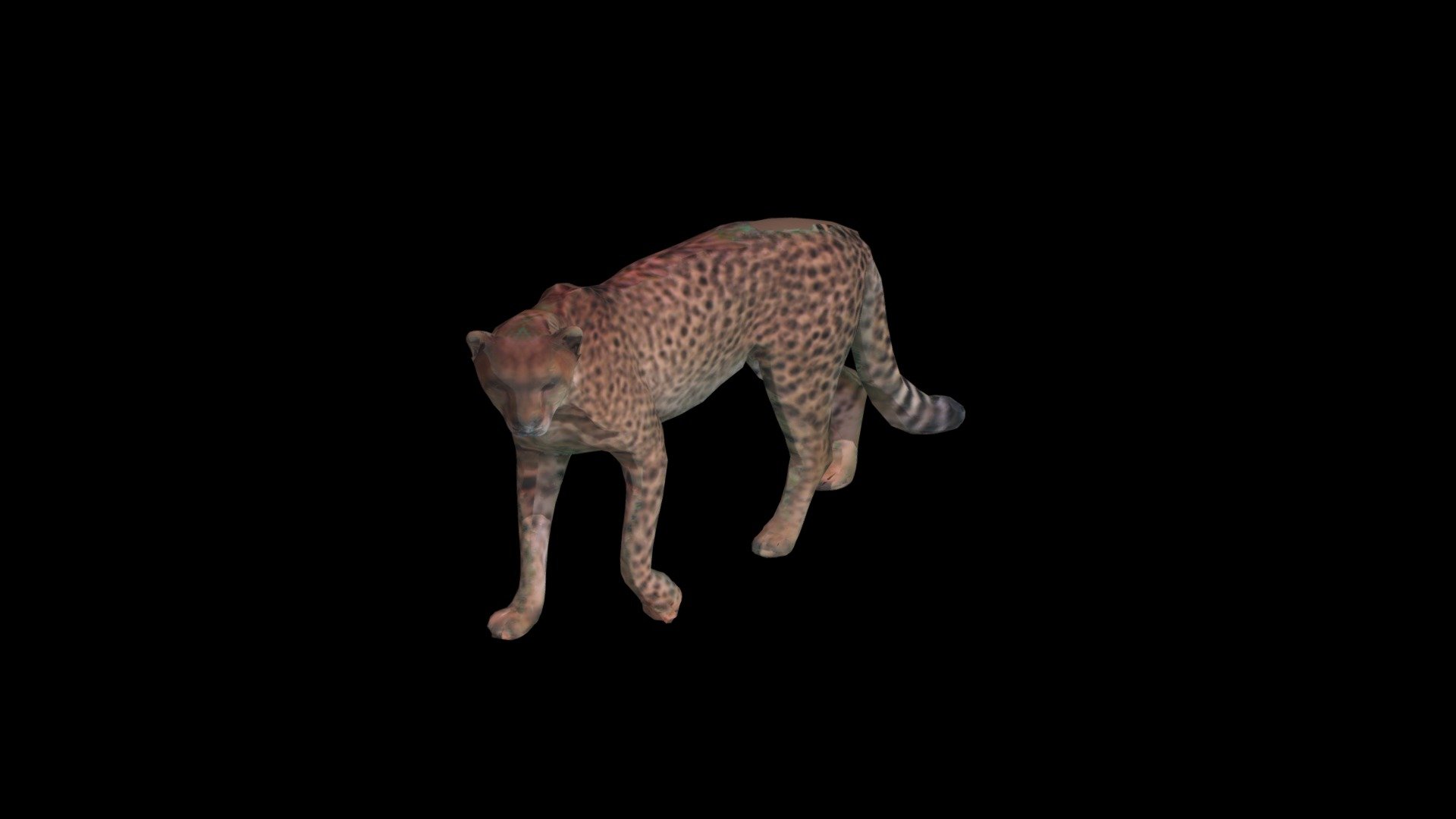 Liepard Idle - 3D model by zippyzoomy1 [056a75f] - Sketchfab