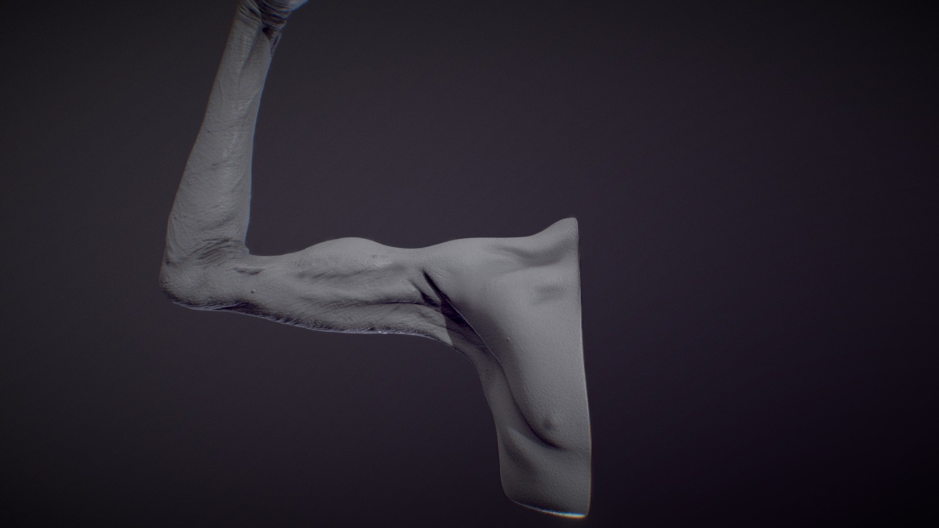Old Man Arm Study - 3D model by Garry.Samuel.Donzelli.Gray [056c8d6 ...