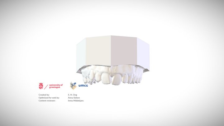 Upper-jaw 3D models - Sketchfab