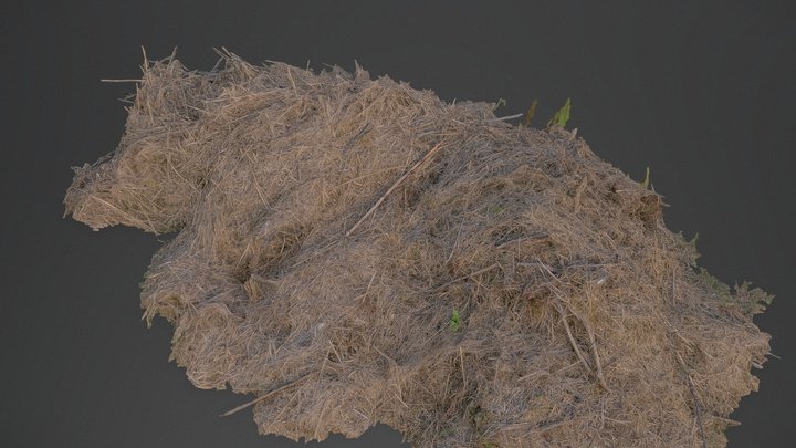Compost 3D models - Sketchfab