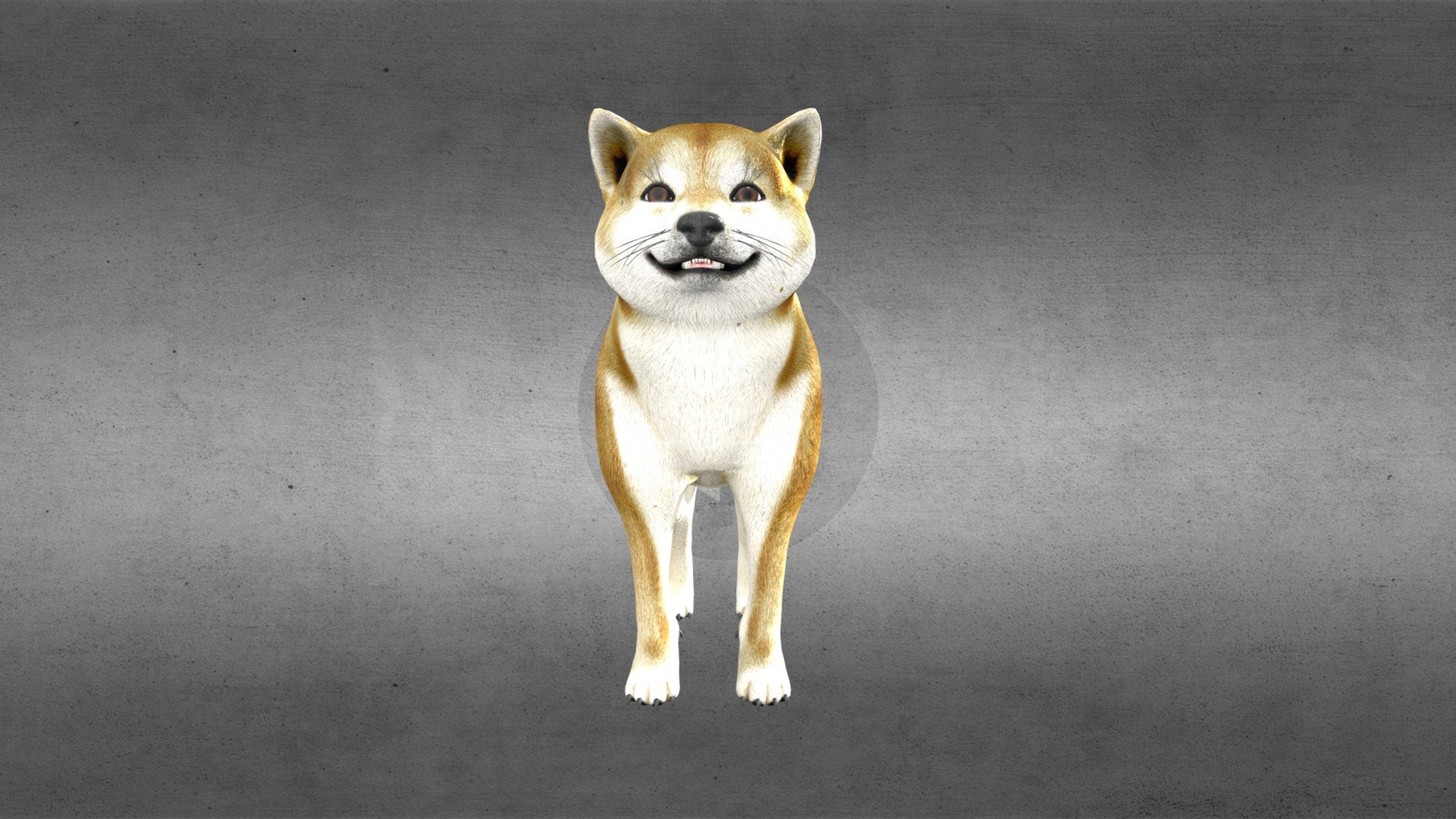 Doge - Download Free 3D model by sidarthmenon [057dd01] - Sketchfab