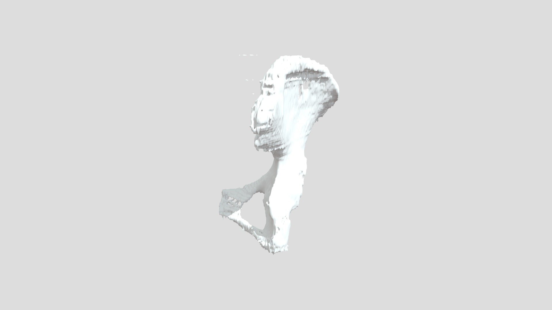 acetabular roof 11215 - 3D model by orthopaedics [057e0cc] - Sketchfab
